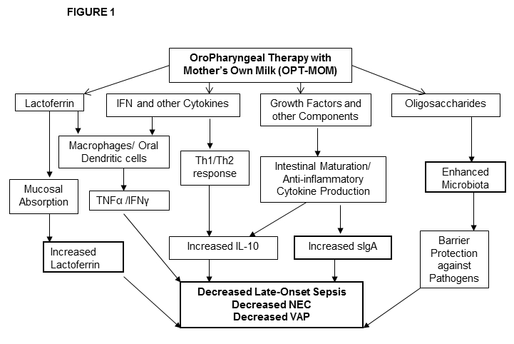 Oropharyngeal Therapy with Mother’s Own Milk (OPT-MOM) to Protect ...